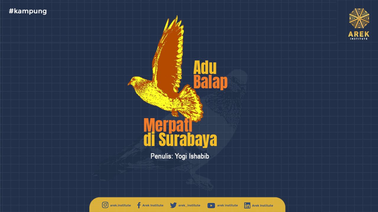 Adu Balap Merpati di Surabaya —Persinggungan Makna Tiga Kukila - Arek ...